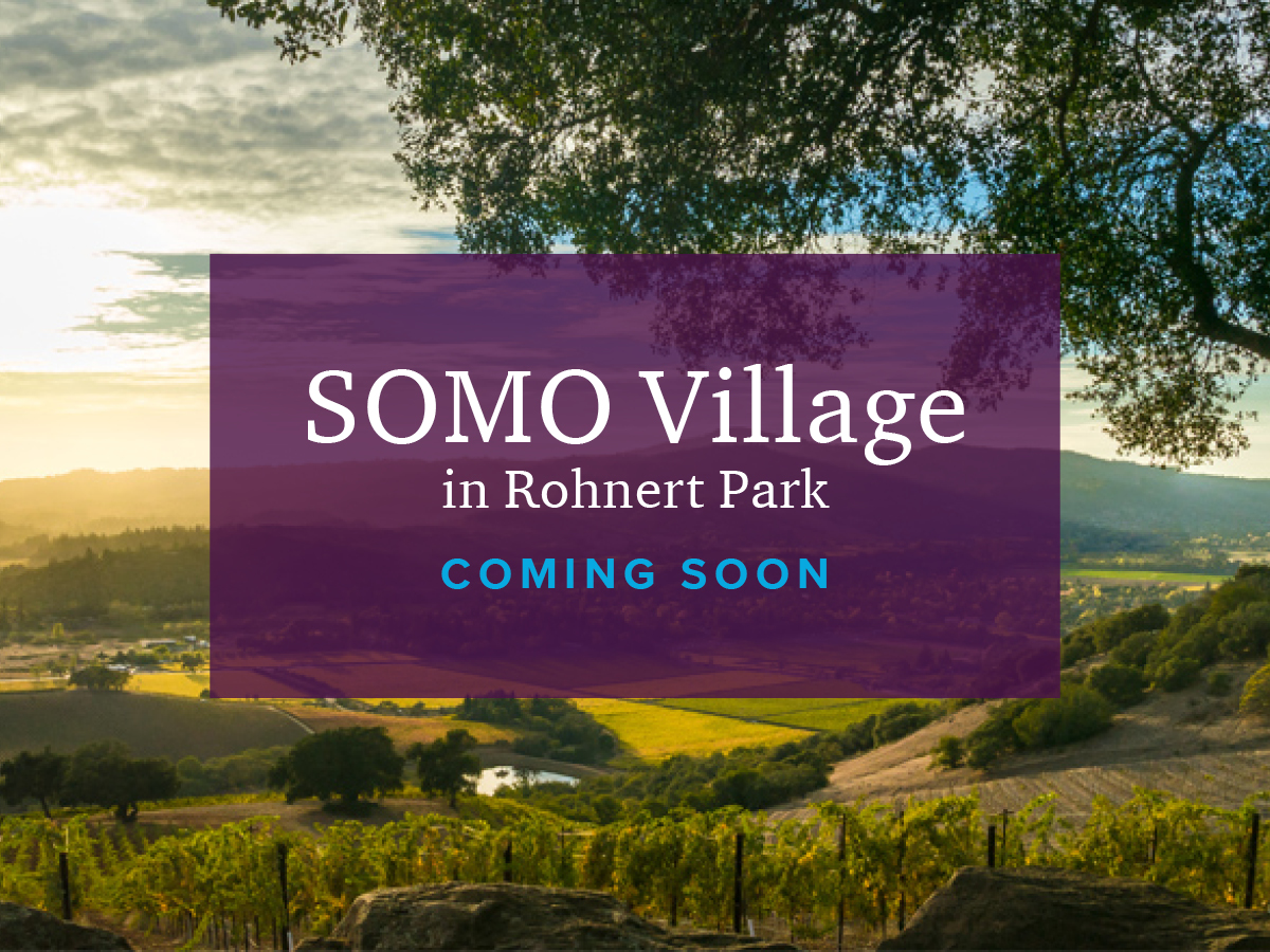 SOMO, Synergy New Homes in Rohnert Park | Century Communities