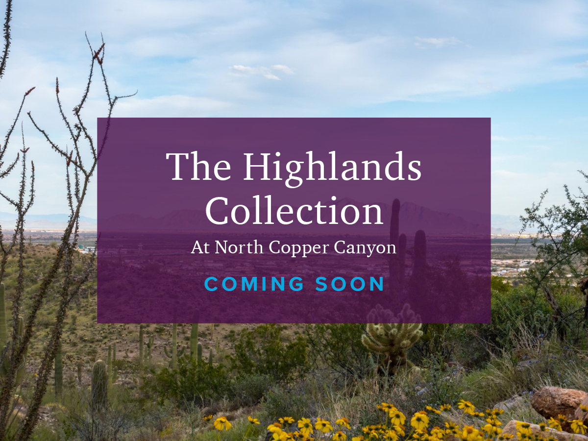 The Highlands Collection New Homes in Surprise | Century Communities