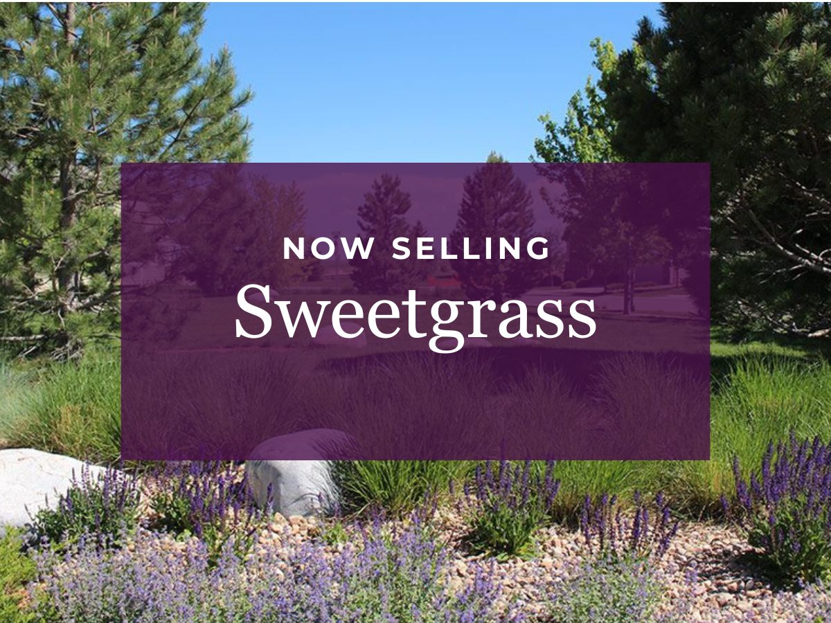 Sweetgrass | New Homes for Sale in Dacono, CO