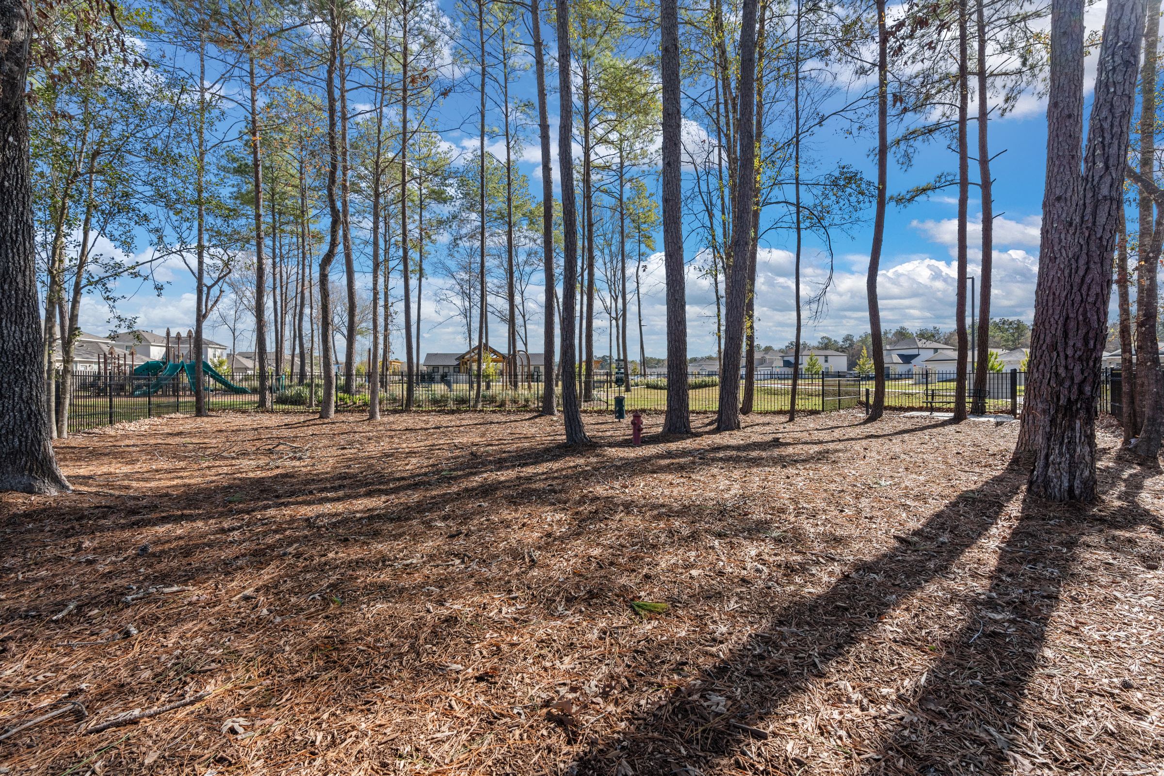 Maple Heights - New Homes in Porter, TX | Century Communities